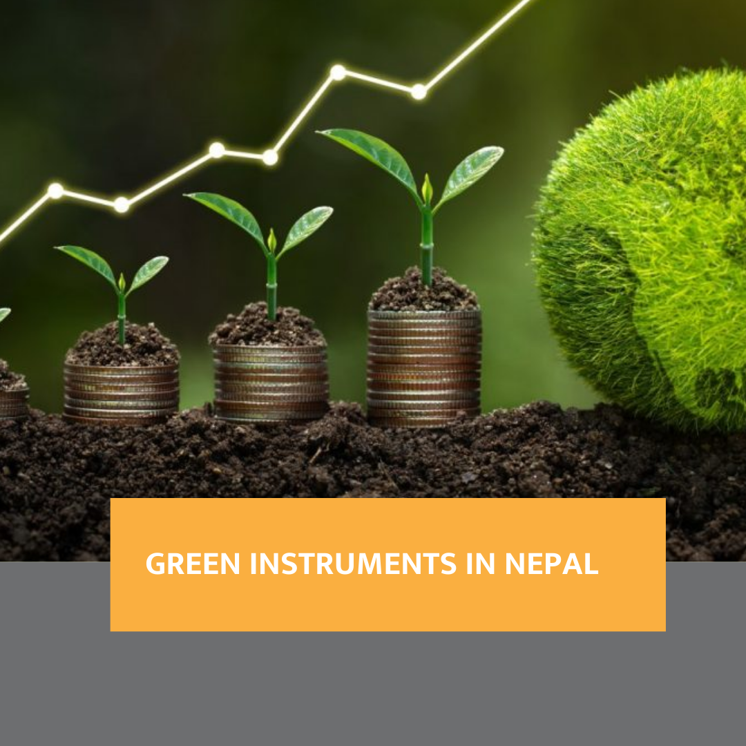 GREEN INSTRUMENTS IN NEPAL - Policy Entrepreneurs Incorporated